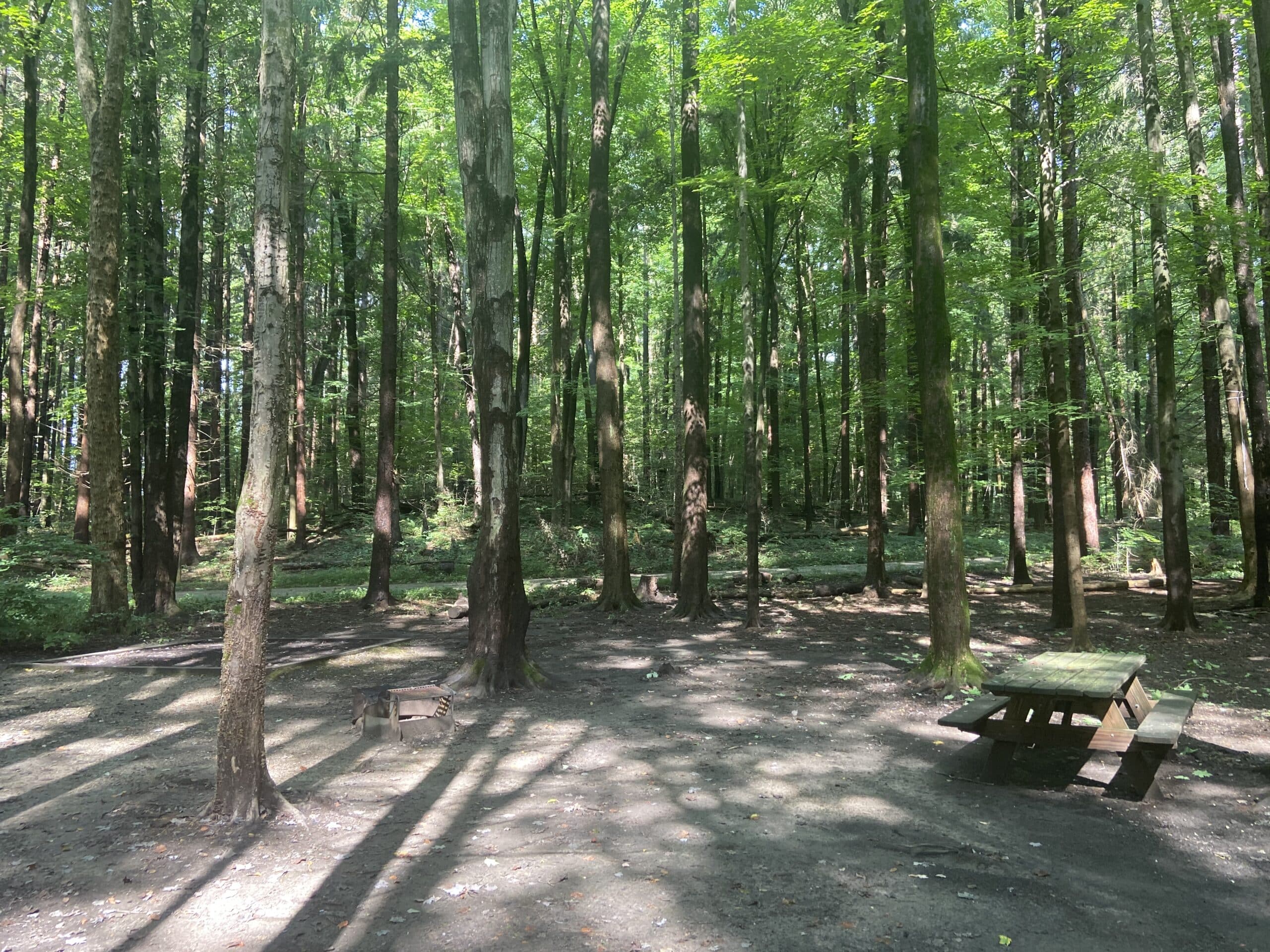 Headwaters Park, Huntsburg | Geauga Park District